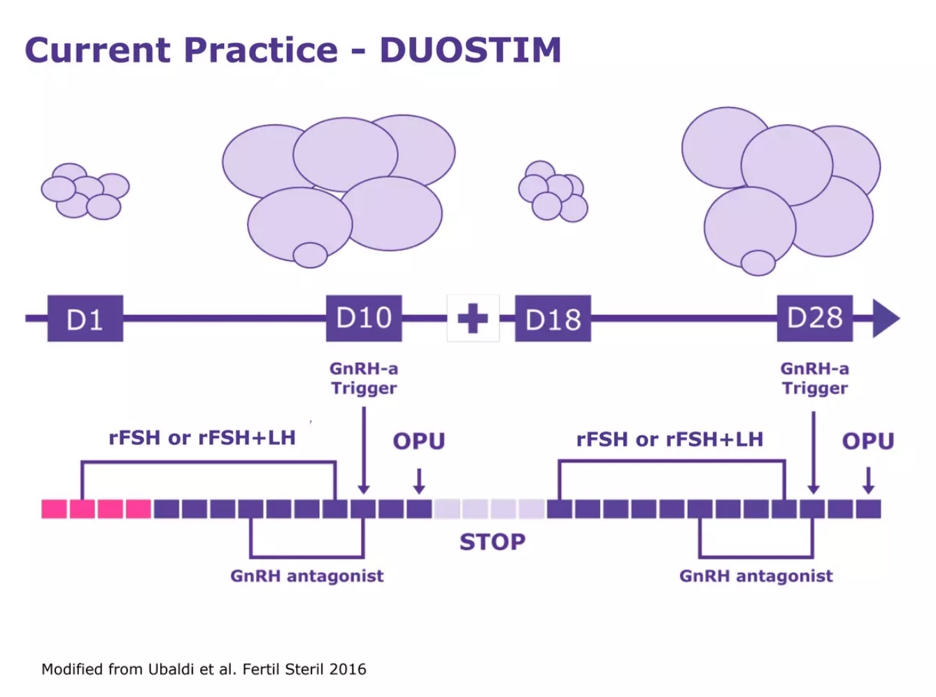 新しい卵巣刺激法〜DuoStim法 | 相模原 タナココ漢方･鍼灸接骨 | 妊活･不妊カウンセリング･よもぎ蒸し･メンタルケア･痛み解消 ...